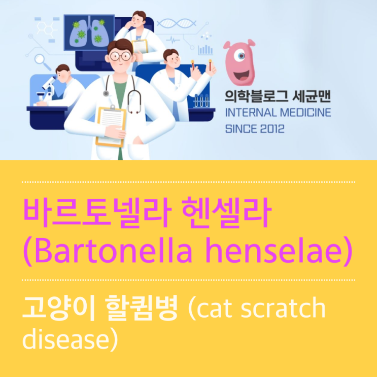 바르토넬라 헨셀라 (Bartonella henselae)에 의한 고양이 할큄병 (cat scratch disease) : 네이버 블로그