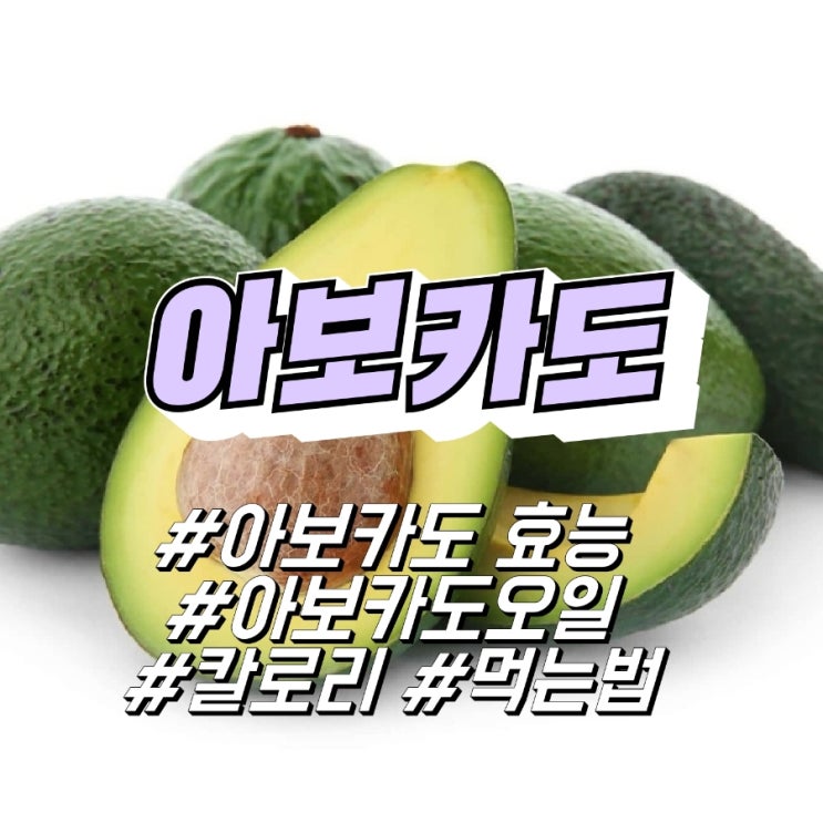 아보카도 효능 아보카도오일 효능 기름 칼로리 먹는법 네이버 블로그