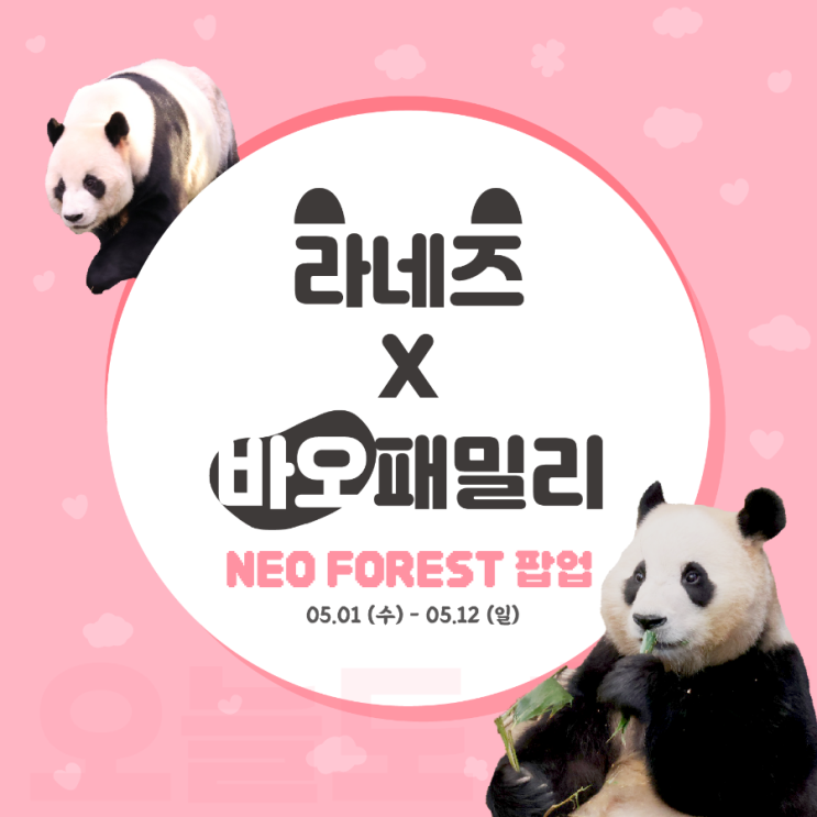 성수 5월 뷰티 팝업스토어, 라네즈X바오패밀리, 푸바오, 판다 콜라보 ' NEO FOREST (네오포레스트) ' 현장예약 방법 ...