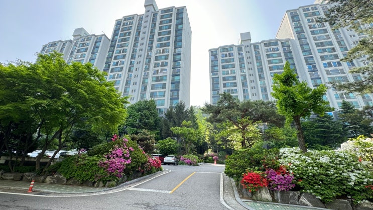 분당 선도지구를 위한 4월의 재건축 설명회5 2 무지개마을 6~10단지 임장기 네이버 블로그