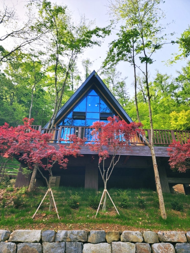 대전 만인산자연휴양림 숲속의집 트리하우스 계수나무 2박 3일 신축 세모집 네모집 휴양관 예약방법 네이버 블로그