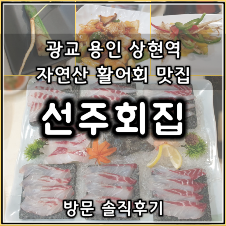 광교 용인 상현역 맛집 선주회집 자연산 활어회가 일품인 곳 방문 솔직후기 네이버 블로그
