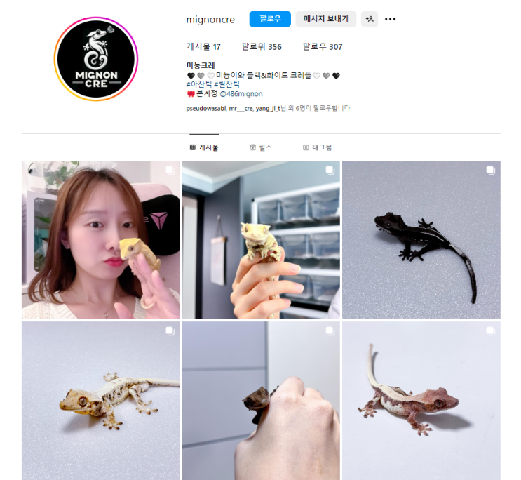 크레스티드 게코 키우기 분양 가격 주의할 점 총정리 네이버 블로그