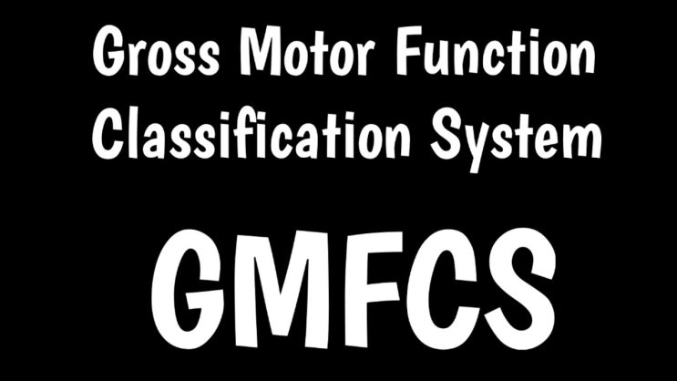 GMFCS(Gross Motor Funtion Classification System) : 네이버 블로그