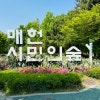 서울 아이와 가볼만한곳 양재시민의숲 매헌시민의숲 주차장 돗자리 피크닉 나들이 네이버 블로그