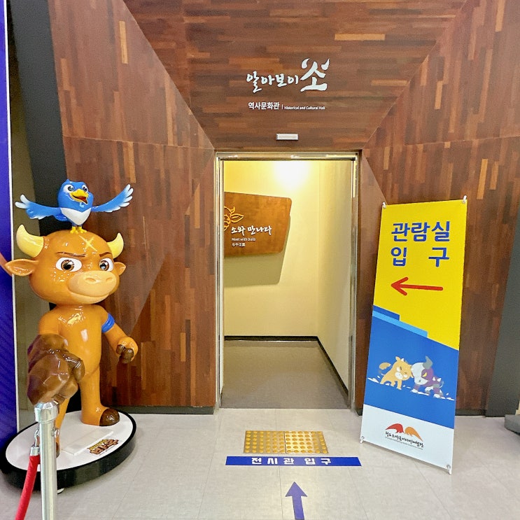 청도 실내 놀이방이 있는 소싸움 미디어 체험관 아이와 방문 네이버 블로그