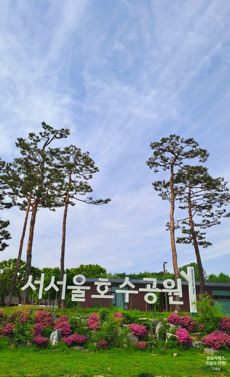 서서울호수공원 주차 피크닉 장소 서울 반려견 동반 양천구 가볼만한 곳 추천 네이버 블로그