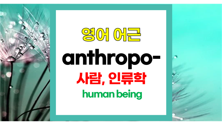 [영어단어어원] anthropologist, anthropoid, anthropology의 어원은? 그리스어 anthropos ...