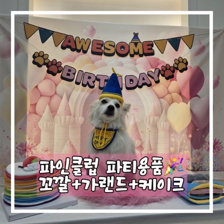 파티용품 반영구적으로 사용하는 강아지생일상 차리기 파인클럽 파티용품으로 차리기꼬깔 가랜드 노즈워크 케이크 네이버 블로그
