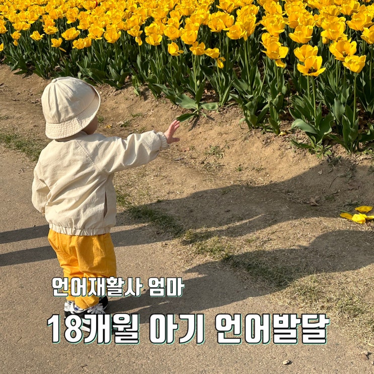 18개월 아기 언어 발달 어휘폭발기 시작 언어재활사 엄마 네이버 블로그
