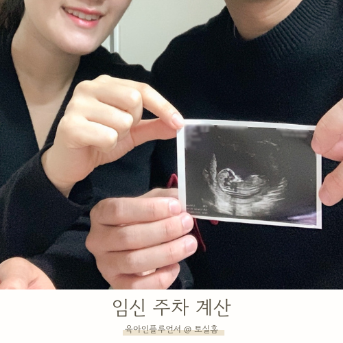 임신 주차 계산 기준일 네이버 임신주수계산기 임밍아웃 시기 네이버 블로그