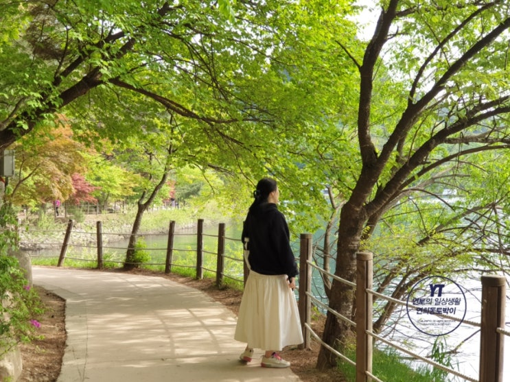 포천 산정호수 둘레길 산책로 푸르름은 언제나 기분이 좋구나 주차요금 걱정 없는 가족 연인 나들이 드라이브 데이트 코스 낭만