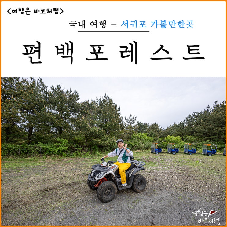 제주 서귀포시 아이와 가볼만한곳 제주도 핫플레이스 편백포레스트 흑염소 목장 먹이주기와 Atv 체험 네이버 블로그