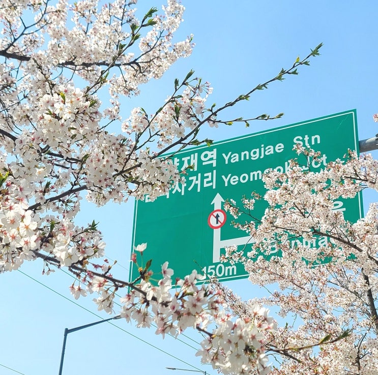 다시 만나서 반가워, April 24 : 네이버 블로그