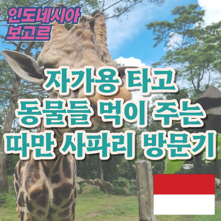 자가용 타고 먹이 주는 이색 사파리 따만 사파리 보고르 방문기 인도네시아 여행지 추천 자카르타 여행 네이버 블로그