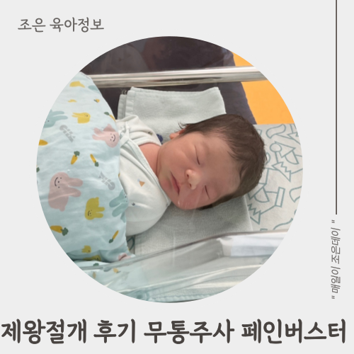 둘째 제왕절개 후기 무통주사 페인버스터 물마시기 네이버 블로그