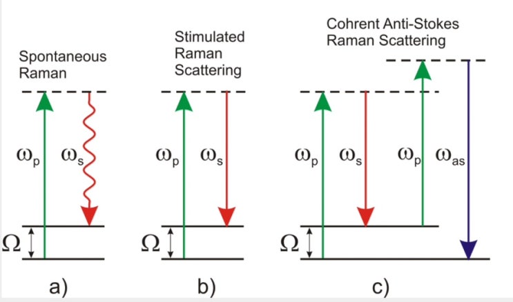 라만 산란 분광학 Raman scattering spectroscopy의 종류 - CRS (CARS and SRS) and ...
