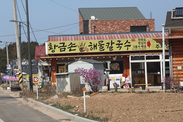 황금손해물칼국수 무의점 무의도 맛집으로 소문난 칼국수와 파전을 즐기다 네이버 블로그