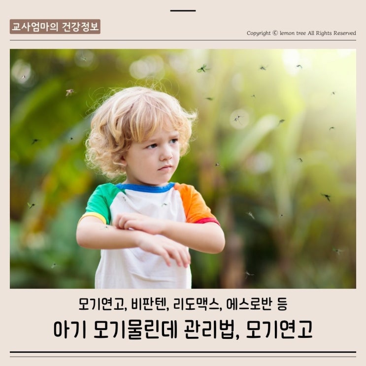 아기모기연고 종류 비판텐 리도맥스 에스로반 벌레물림 모기물린데 관리 네이버 블로그