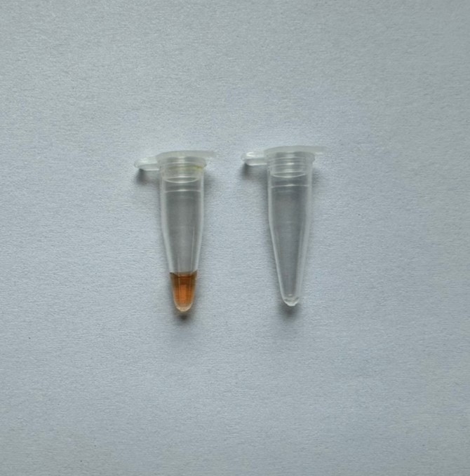 Duplex PCR kit 사용설명서 : 네이버 블로그