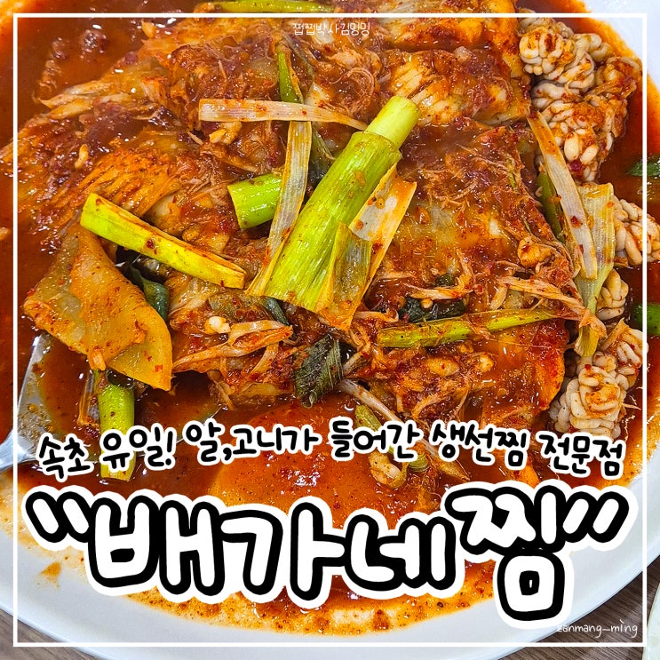 현지인에게 추천받은 속초 가오리찜 맛집 배가네찜 네이버 블로그