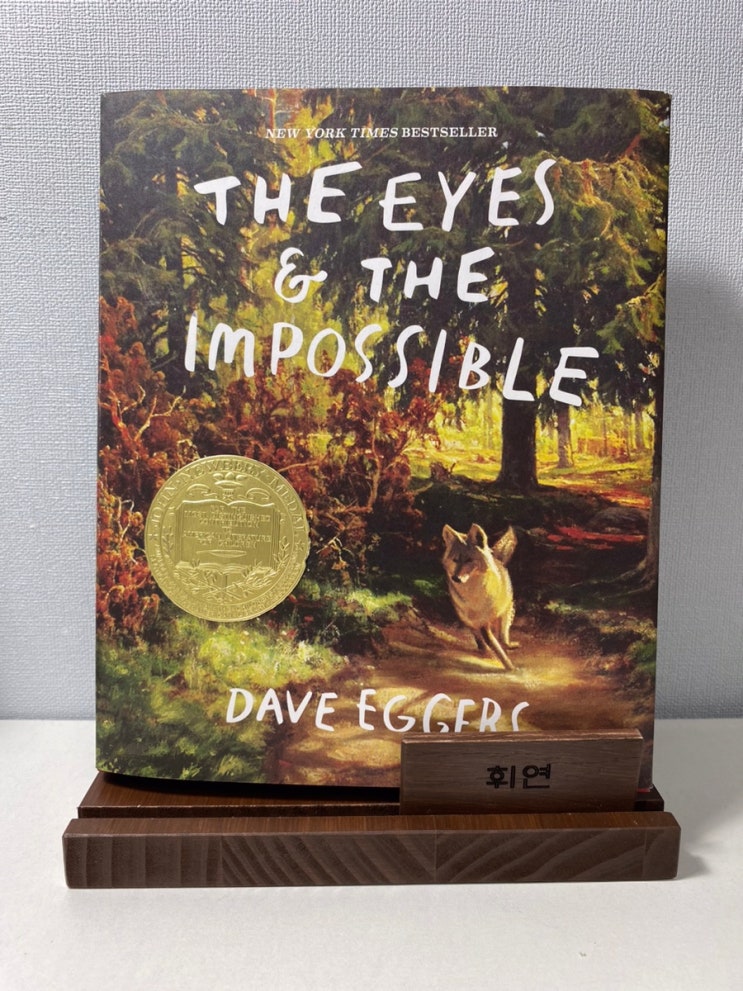 24뉴베리수상작 The Eyes&the Impossible : 네이버 블로그