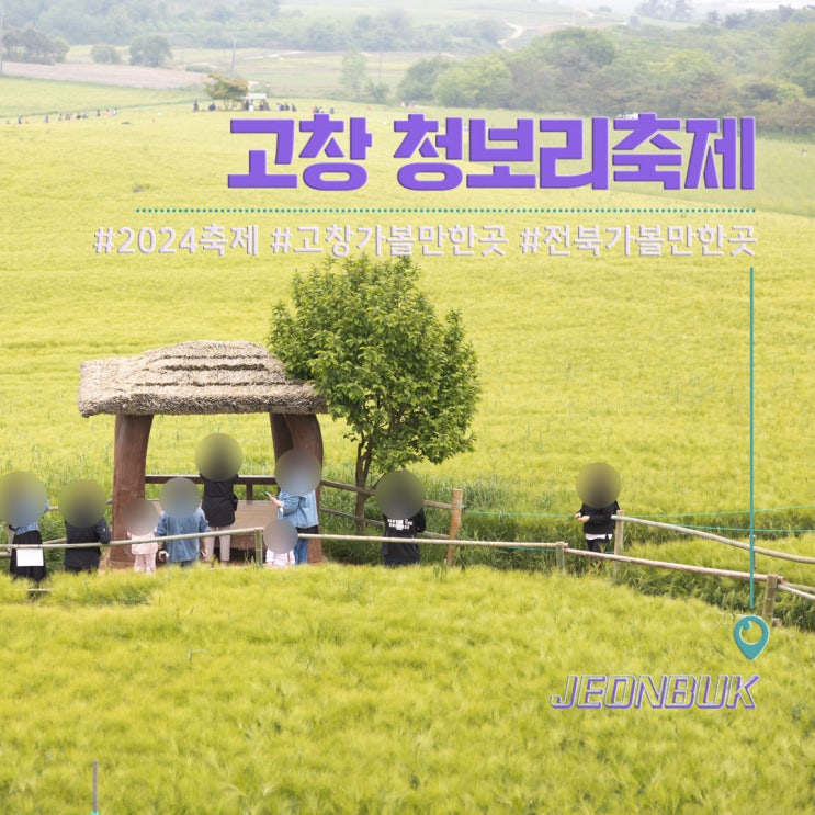 2024 고창 청보리밭 축제 학원관광농원 고창 가볼만한곳 네이버 블로그