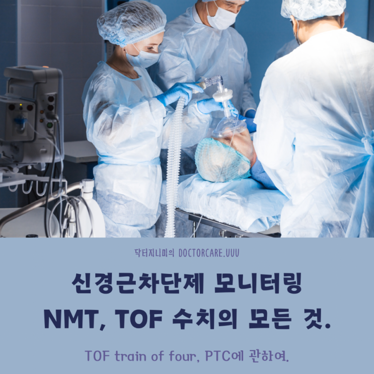 전신 마취시 신경근차단 모니터링- NMT (Neuromuscular transmission): 어떤 신경을 모니터링하며, TOF ...