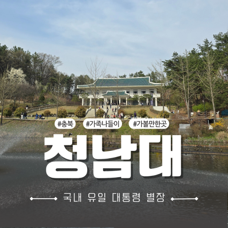 충북 청주 봄꽃 명소 청남대 (가족 나들이, 드라이브 추천 코스) : 네이버 블로그