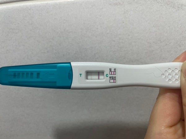 임신준비 4주차 배란 6일차~10일차 극초기 증상 기록아랫배 소화불량 홍조 가슴통증 임테기 두줄 유산 증상과 비교