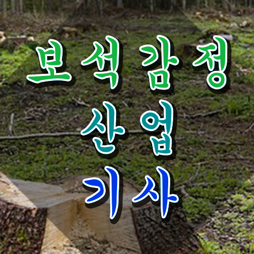 보석감정산업기사 자격요건 온라인으로 5개월 만에 성공한 팁 네이버 블로그