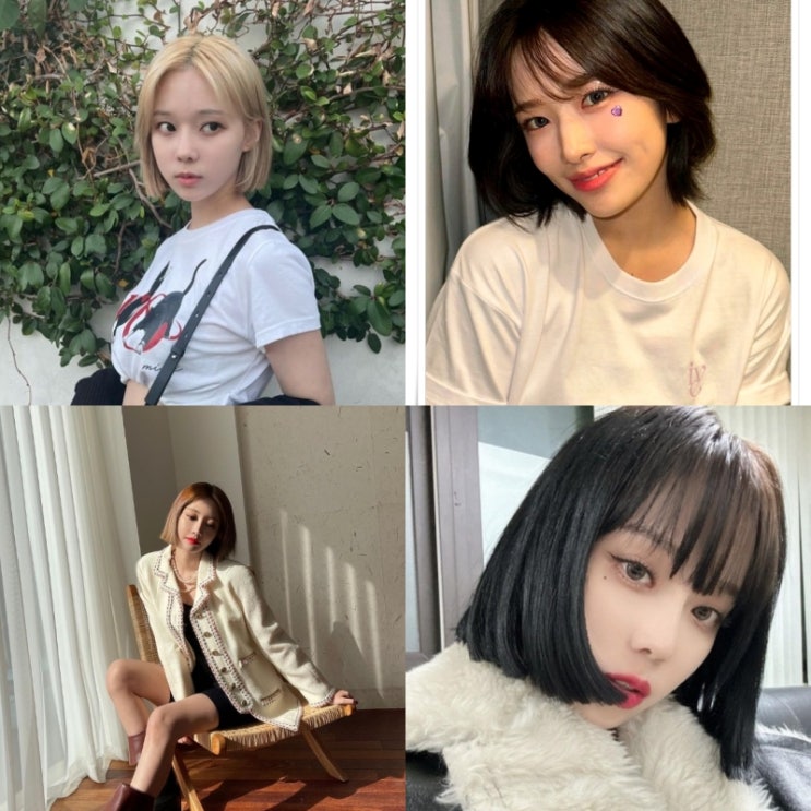 연예인 단발 헤어스타일 C컬 테슬컷 레이어드 단발 단발펌 네이버 블로그