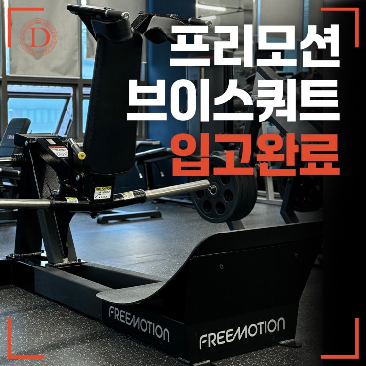갈매 헬스 디벨롭짐 프리 모션 브이 스쿼트 머신 입고 소식 네이버 블로그