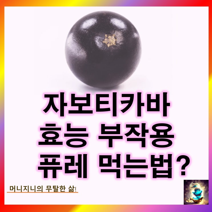 자보티카바 효능 부작용 영양성분 칼로리 퓨레 먹는법 네이버 블로그
