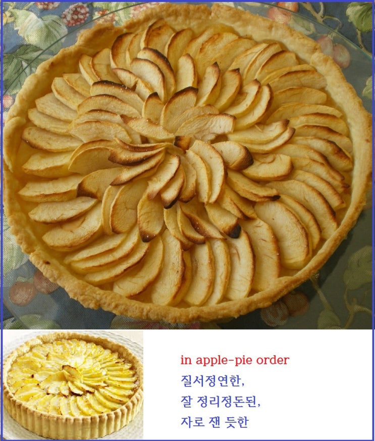 "질서정연한" 영어로는?? : 네이버 블로그