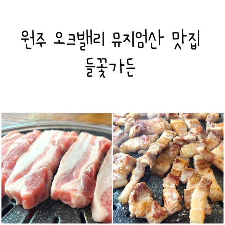 원주 오크밸리 뮤지엄산 맛집 들꽃가든 제주 흑돼지 삼겹살 새벽 5시 30분부터 식사 픽업 가능한 곳 네이버 블로그