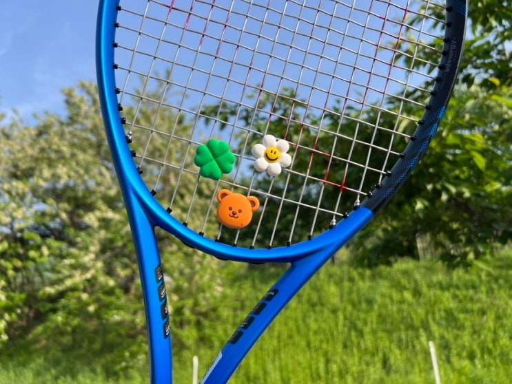 테니스 댐프너란? 위글위글 댐프너 후기 테린이 선물 추천 : 네이버 블로그