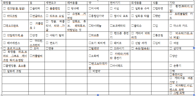 발리 싱가포르로 신혼여행 다녀온사람이 추천해주는해외여행 준비물 체크리스트 총정리 네이버 블로그