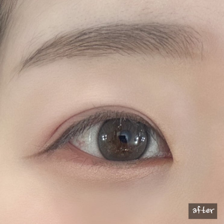 애교살펜슬추천 투쿨포스쿨 프로타주 9호 쉬어누드 내돈내산 발색리뷰 네이버 블로그