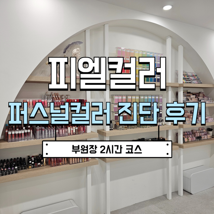 서울신촌 피엘컬러 퍼스널컬러 진단받은 내돈내산 후기와 가격 네이버 블로그