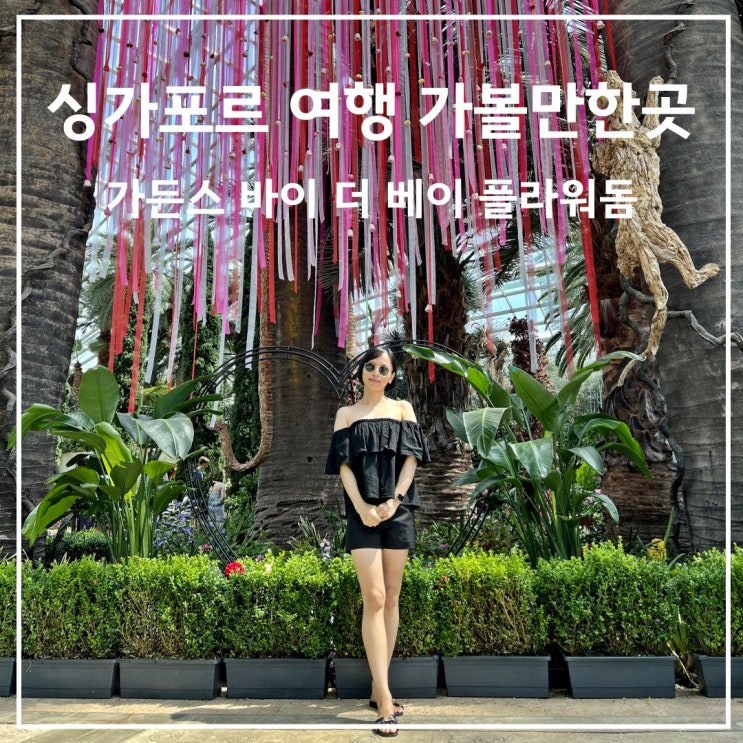 싱가포르 여행 가볼만한곳 가든스 바이 더 베이 추천 플라워 돔 포토스팟 입장권 할인정보 네이버 블로그