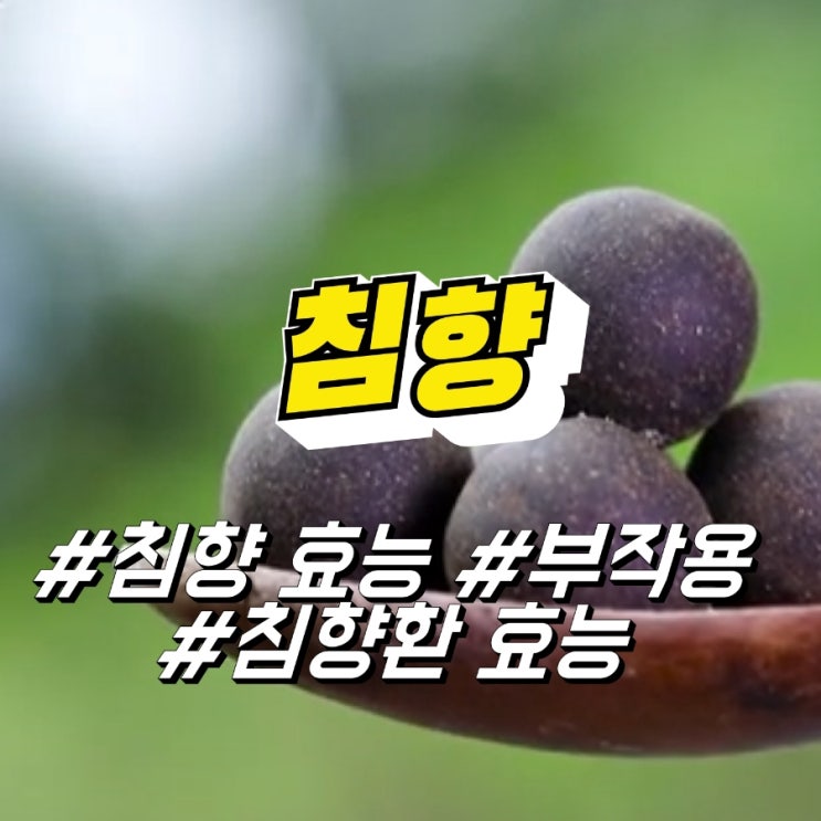 침향 효능 침향환 효능 및 부작용 네이버 블로그