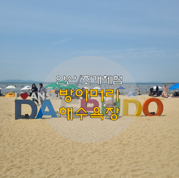 안산 가볼만한 곳 이색데이트 대부도 방아머리해수욕장 무료 조개캐기 체험주차 조개해감 등 네이버 블로그