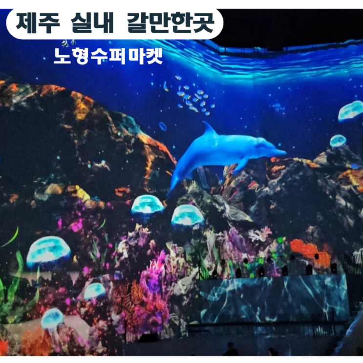 노형수퍼마켙 공항 근처 제주 가볼 만한 곳 할인 주차 네이버 블로그