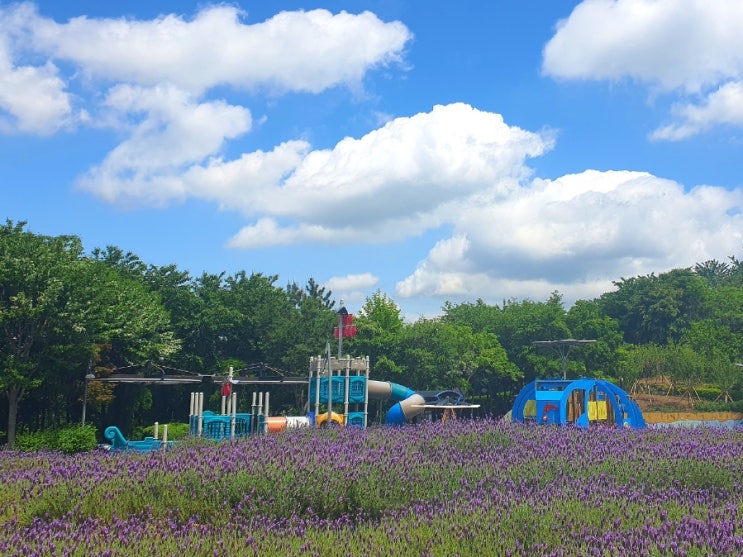 5월울산가볼만한곳 울산장생포 고래문화마을 고래박물관 라벤더정원 울산고래놀이터 네이버 블로그