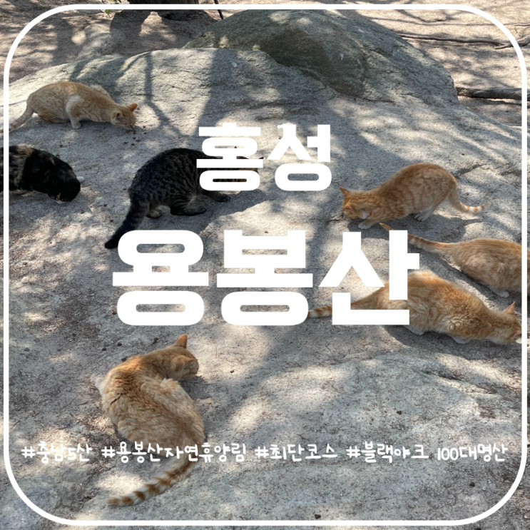 충남5산 홍성 용봉산 등산코스 용봉산자연휴양림 최단코스 네이버 블로그