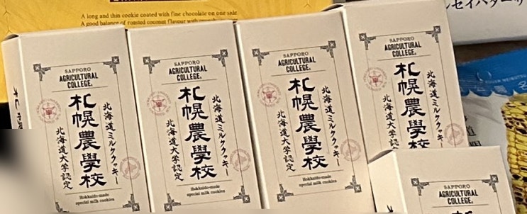 삿포로 여행기 4 다이마루 쇼핑 할인 게스트 쿠폰 텍스프리꼼데가르송 포켓몬센터 특산물 기념품 네이버 블로그
