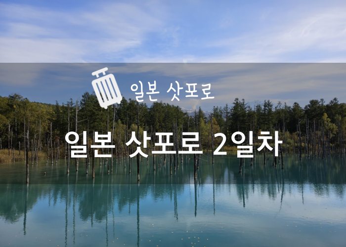삿포로 2일차 팜도미타비에이 마을청의 호수흰수염폭포사계채의 언덕크리스마스 나무세븐스타 나무 투어 네이버 블로그