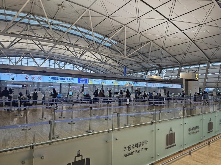 아시아나항공 카운터, 기내식 & 하노이공항 입국수속 : 네이버 블로그