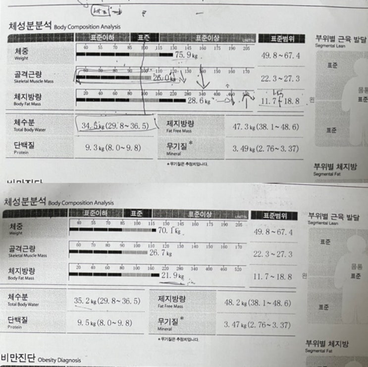 더바디핏 조oo 회원님 인바디변화 대화동피티샵 주 대화동헬스장 후곡헬스장 주엽동피티샵 대화역헬스장 네이버 블로그